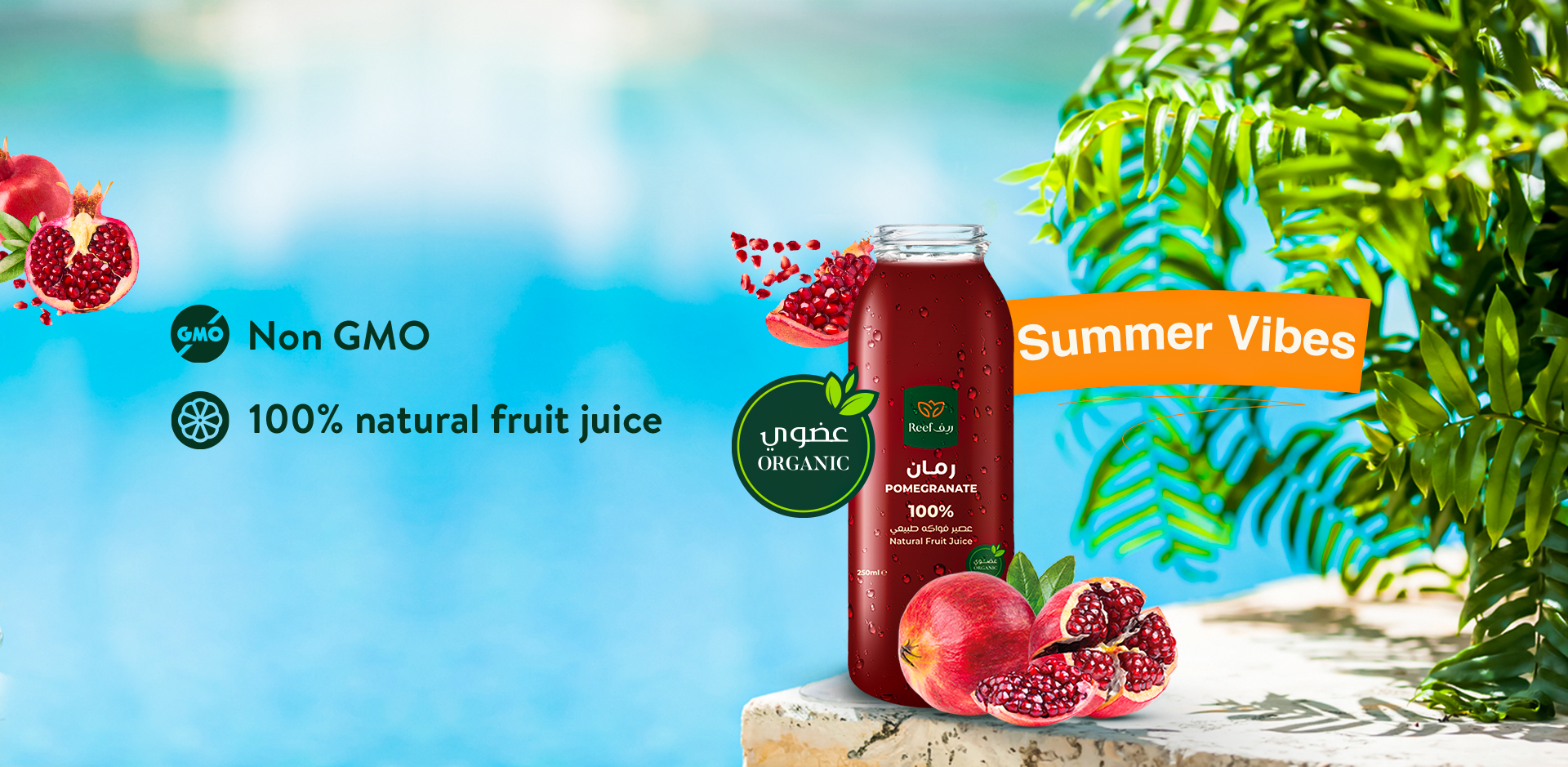 Best Organic and Sugar Free Fruit Juice and Healthy Products in Kuwait